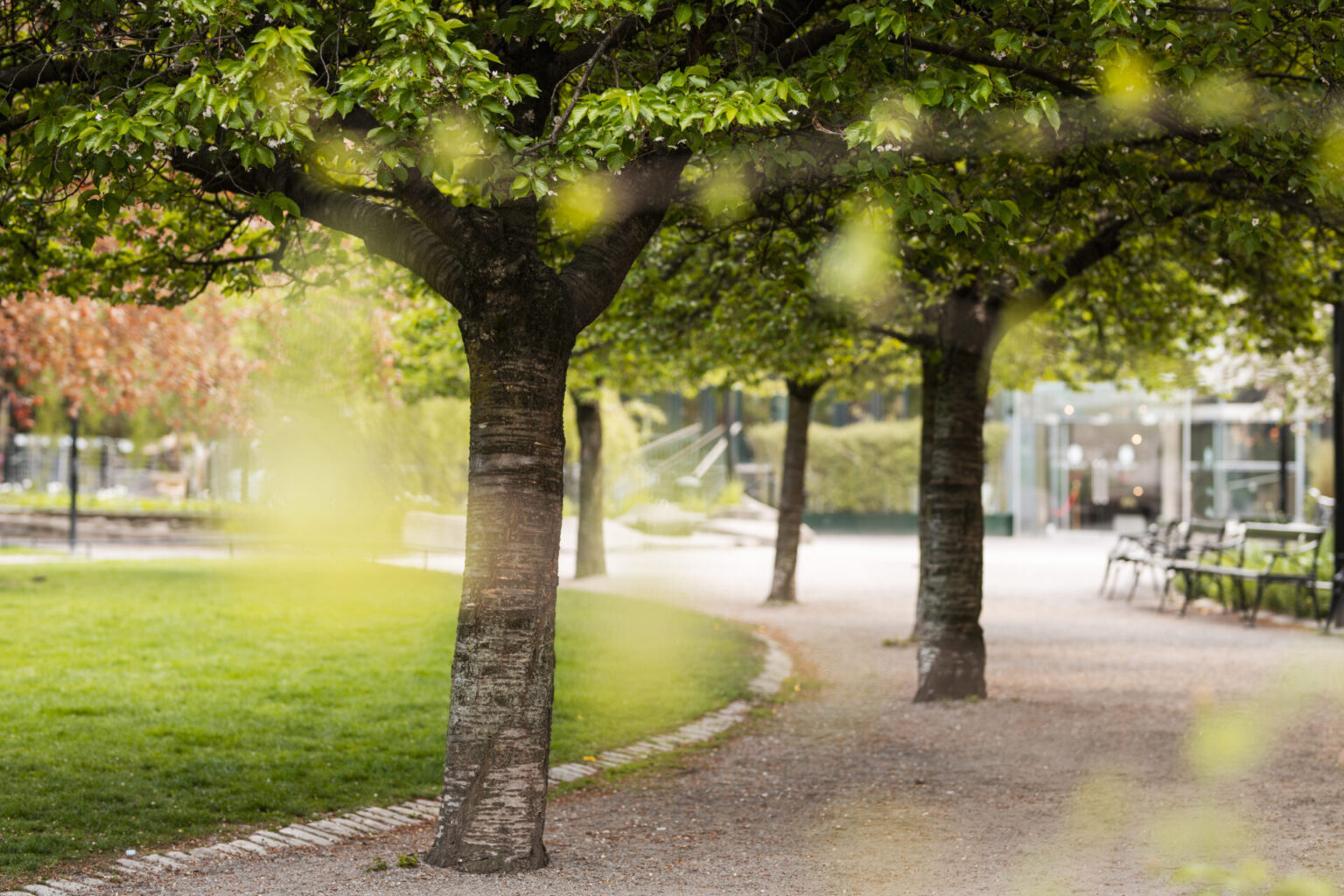 Tim Bergling Foundation and Magnusson enter new partnership to support ...